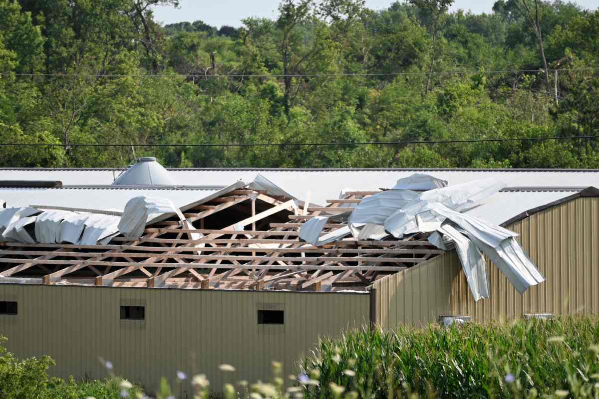 Your Commercial Roof Has Wind Damage | ABR Construction